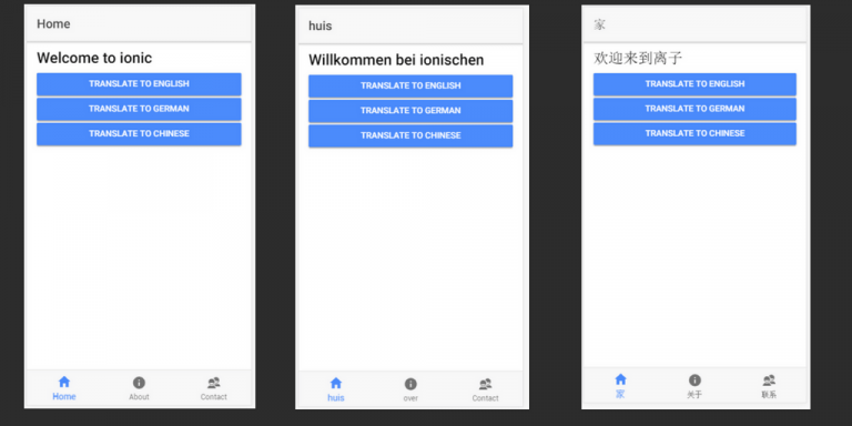 Ionic 3 Multi Language Example – pkworlz